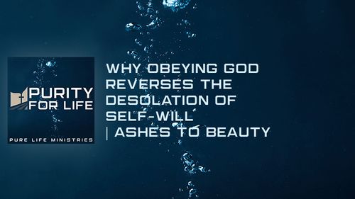 Pure Life Ministries | Start Your Journey to Freedom