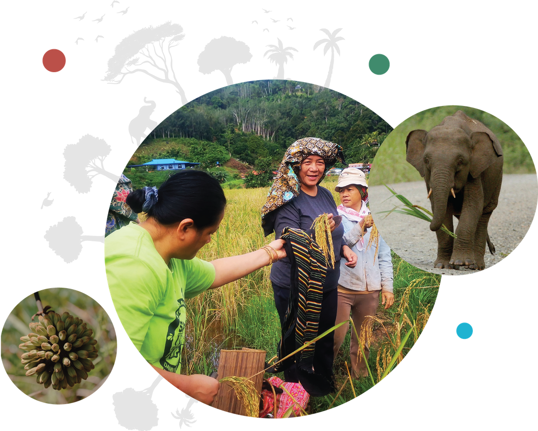 Forever Sabah | Home