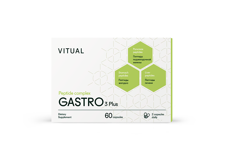 Gastro | Liver, Pancreas, Stomach |Digestion