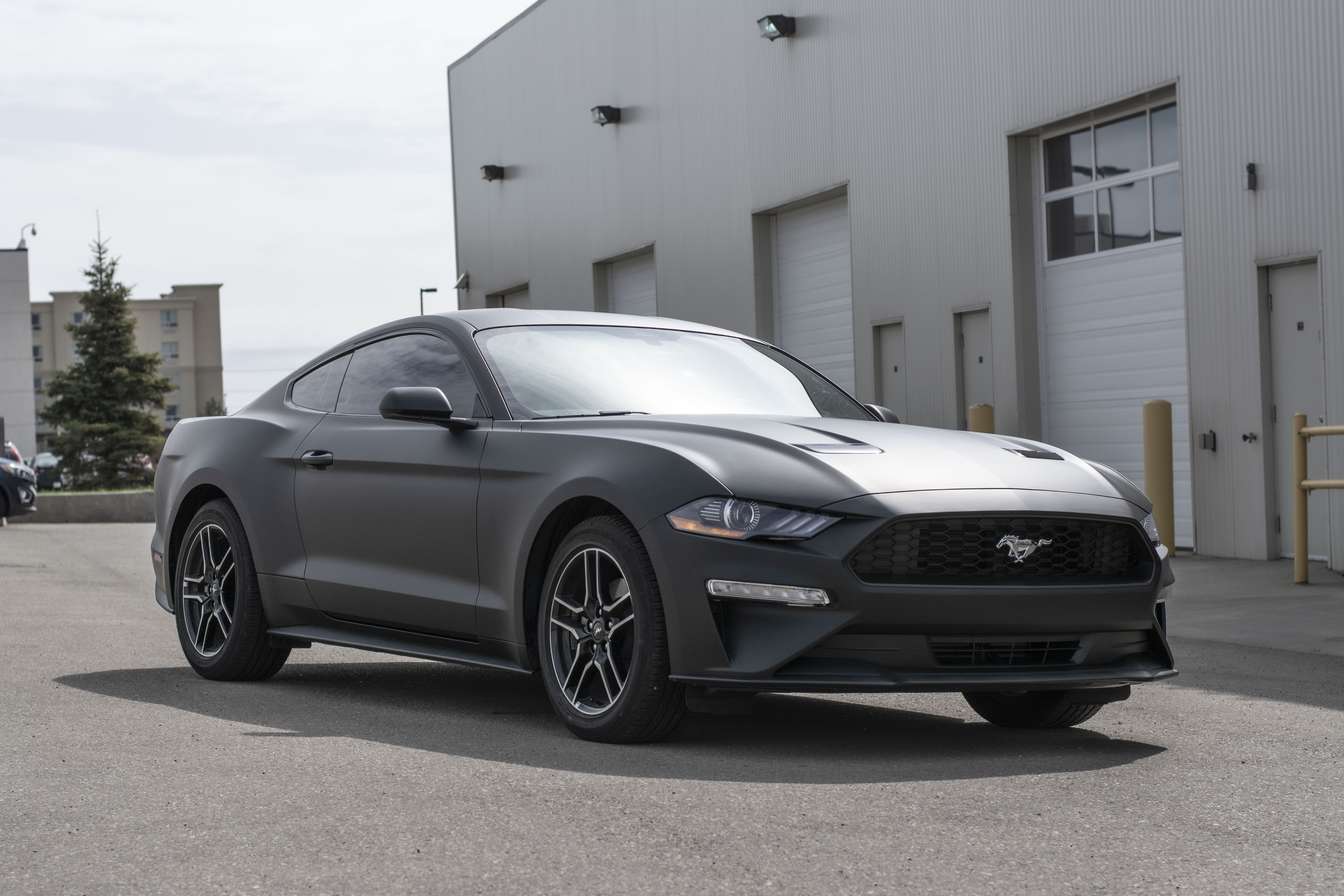 Graphics and Vinyl Installation Edmonton | PRO WRAP