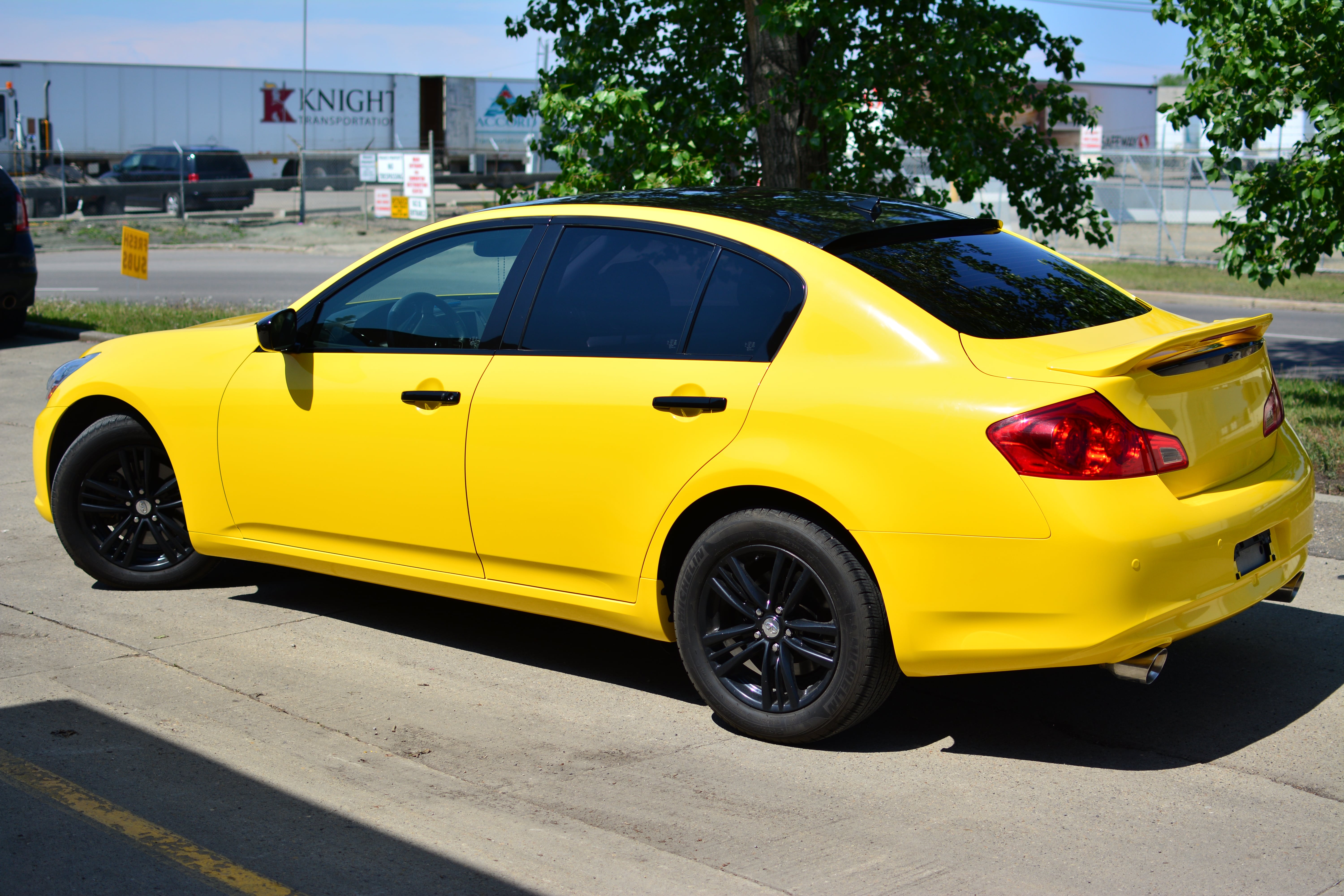 Graphics and Vinyl Installation Edmonton | PRO WRAP