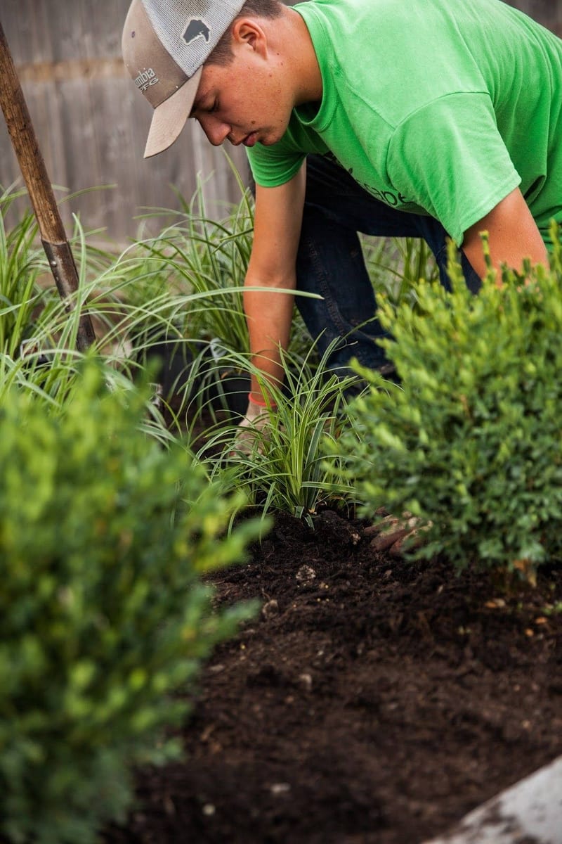 Our Process | Earthscape Landscape