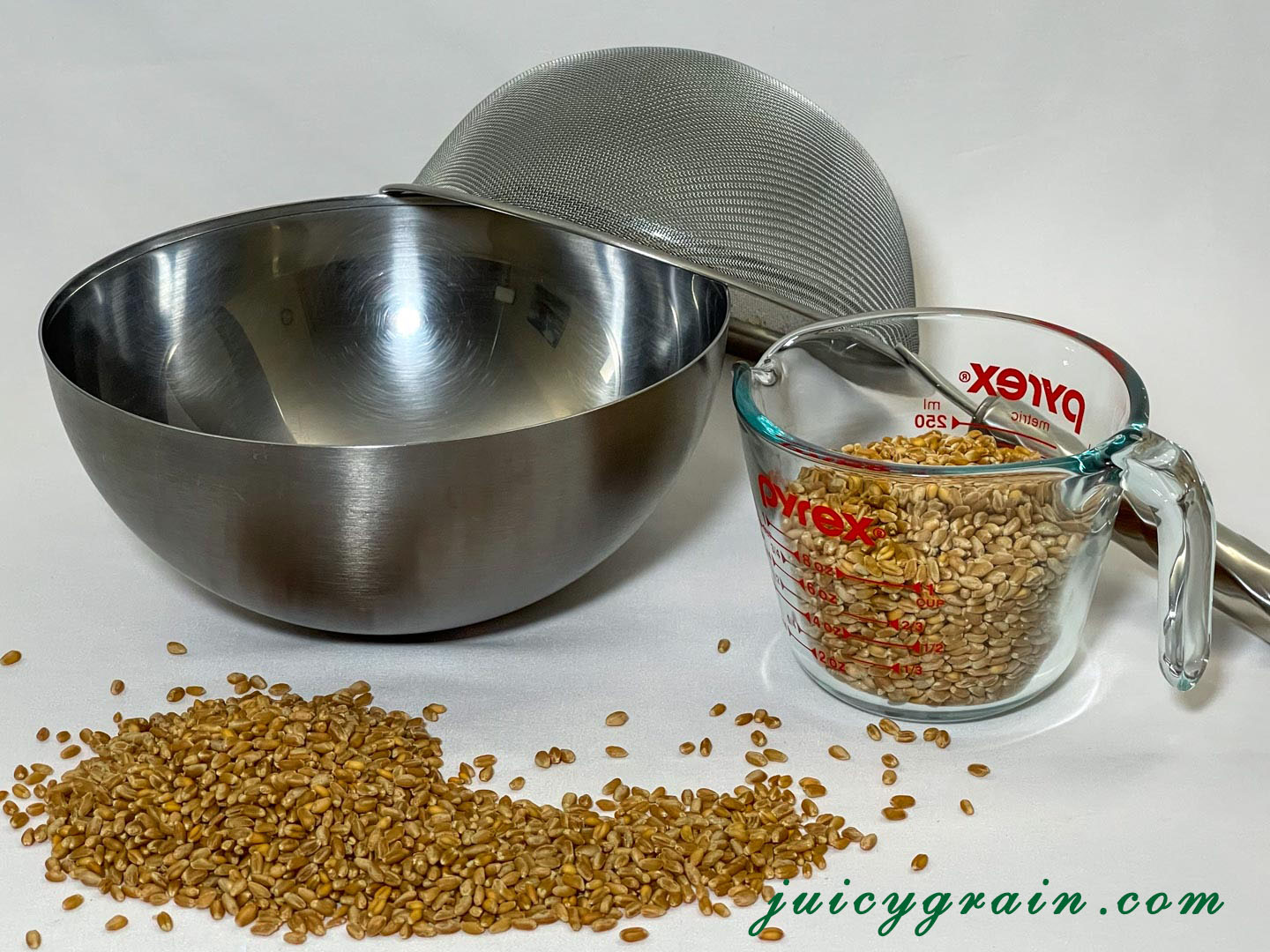 Step 1 Soaking wheatgrass seeds | Juicy Grain