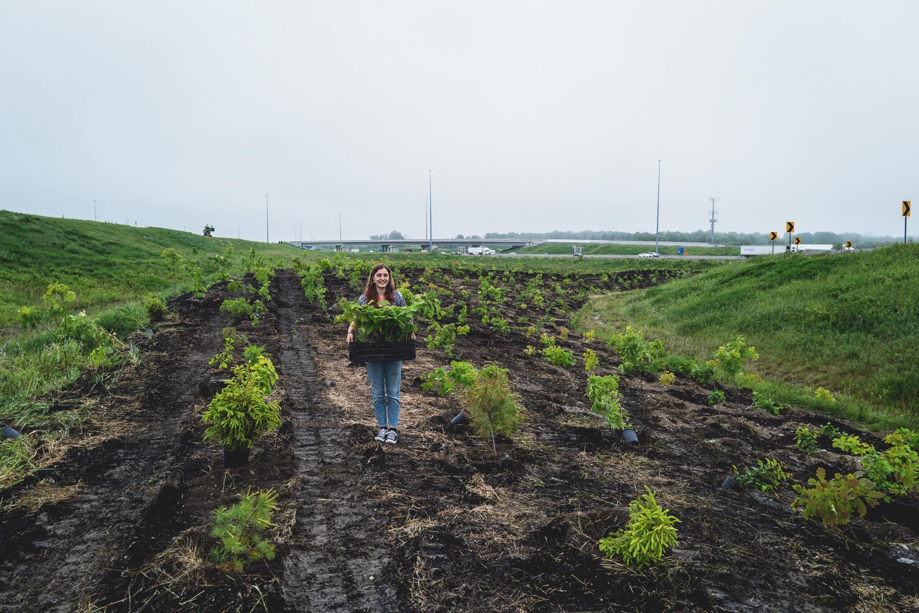 Wilder Climate Solutions