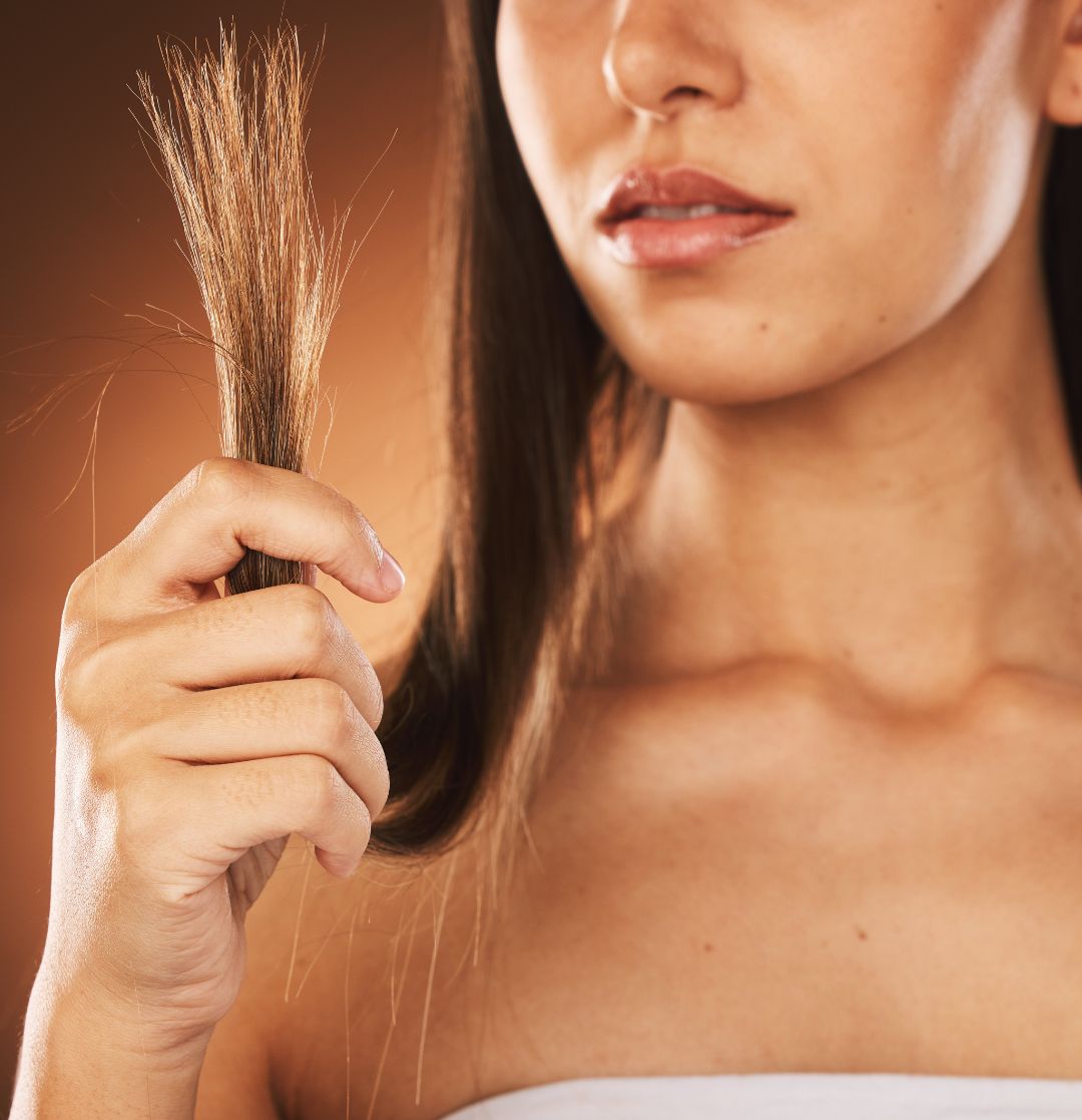 Society: Split Ends 101: Causes, Prevention, and Repair Strategies