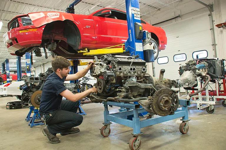 Clubs and Societies- YC