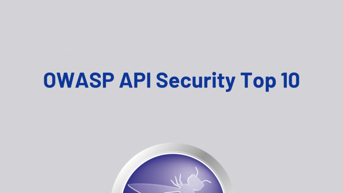 The OWASP API Security Top 10 Explained