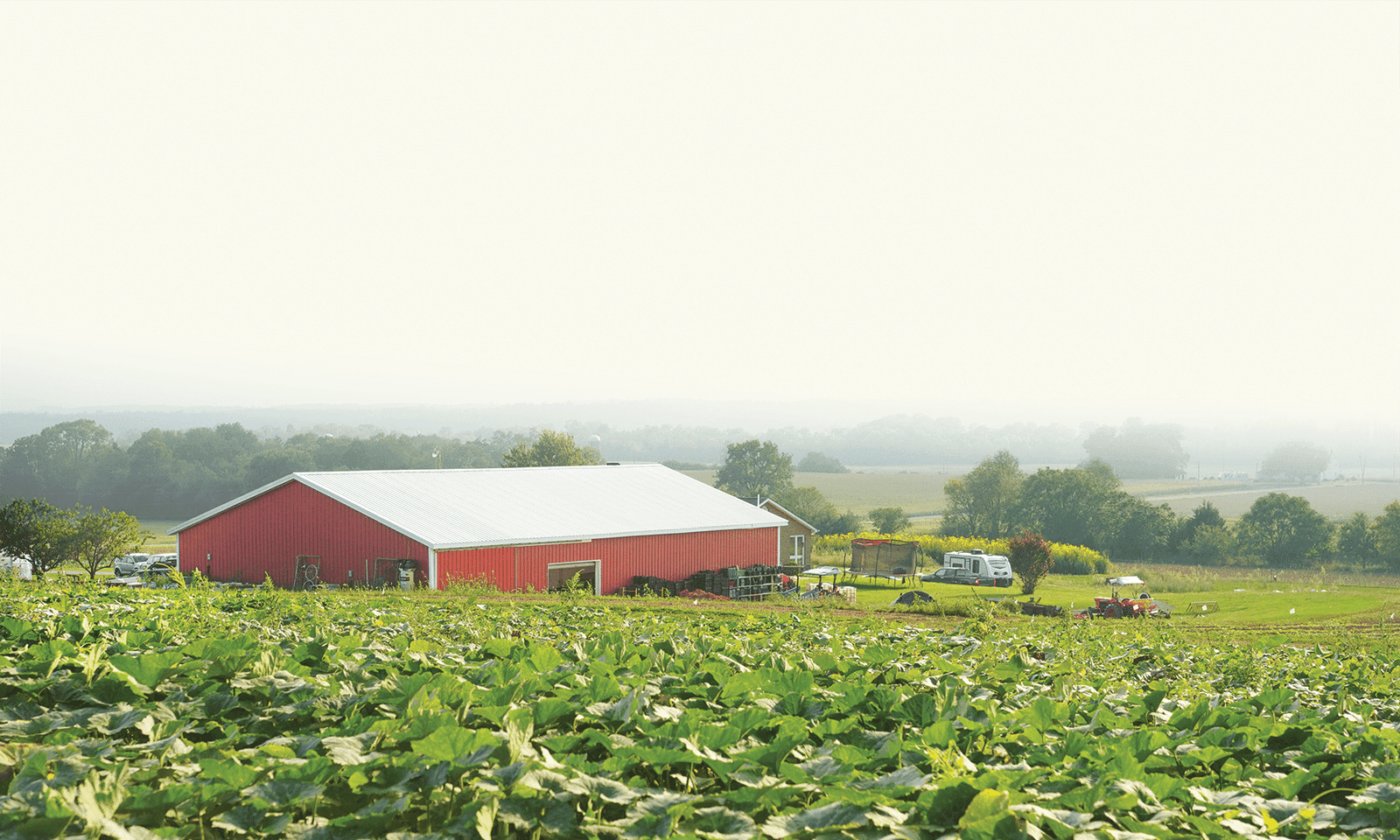 Cheese Caves and Food Surpluses: Why the U.S. Government currently ...