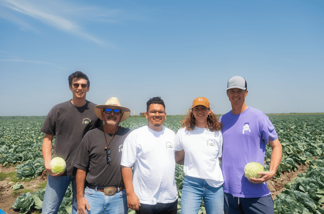 How the Cake is Made: The Farmlink Process