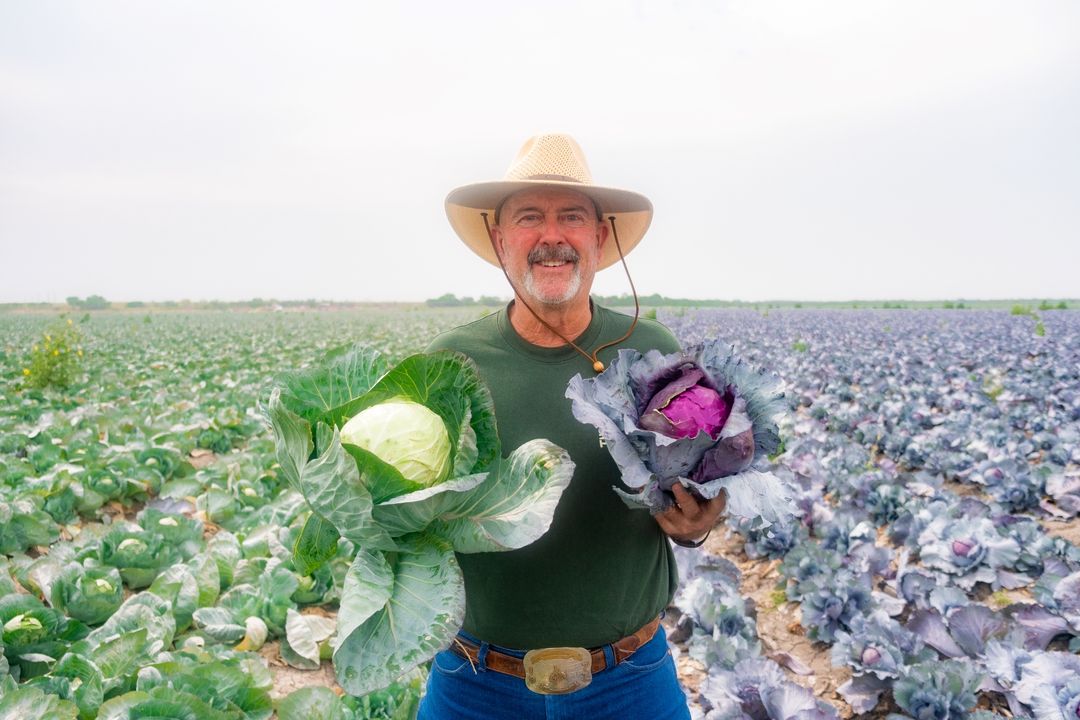 Cheese Caves and Food Surpluses: Why the U.S. Government currently ...