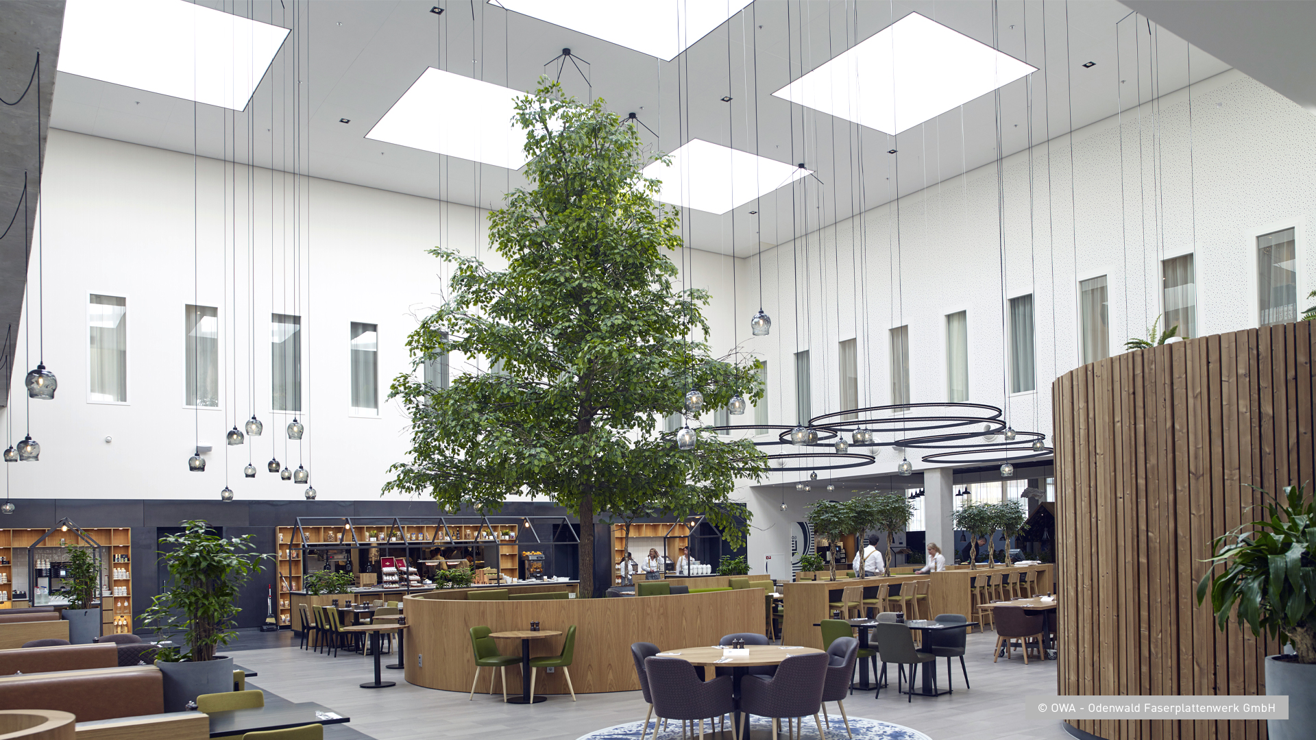 OWA image data base | Case studies