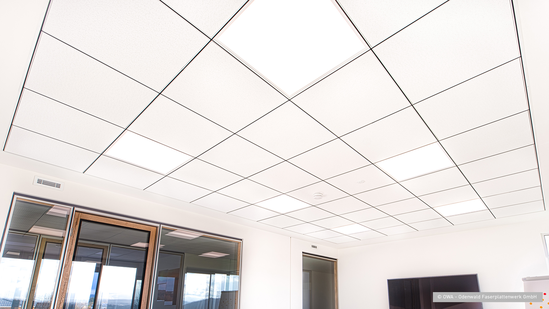 OWA image data base | Case studies