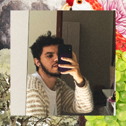 Wesley Azevedo - Webflow