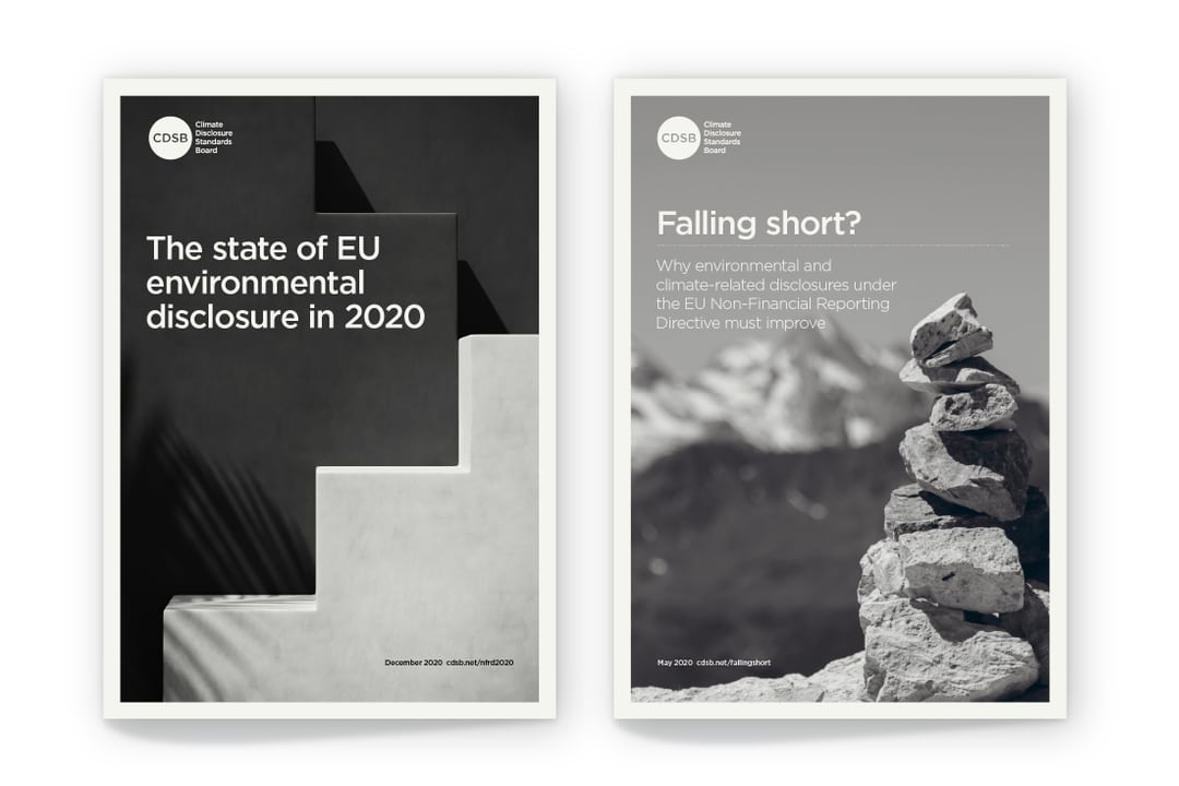 Climate Disclosure Standards Board