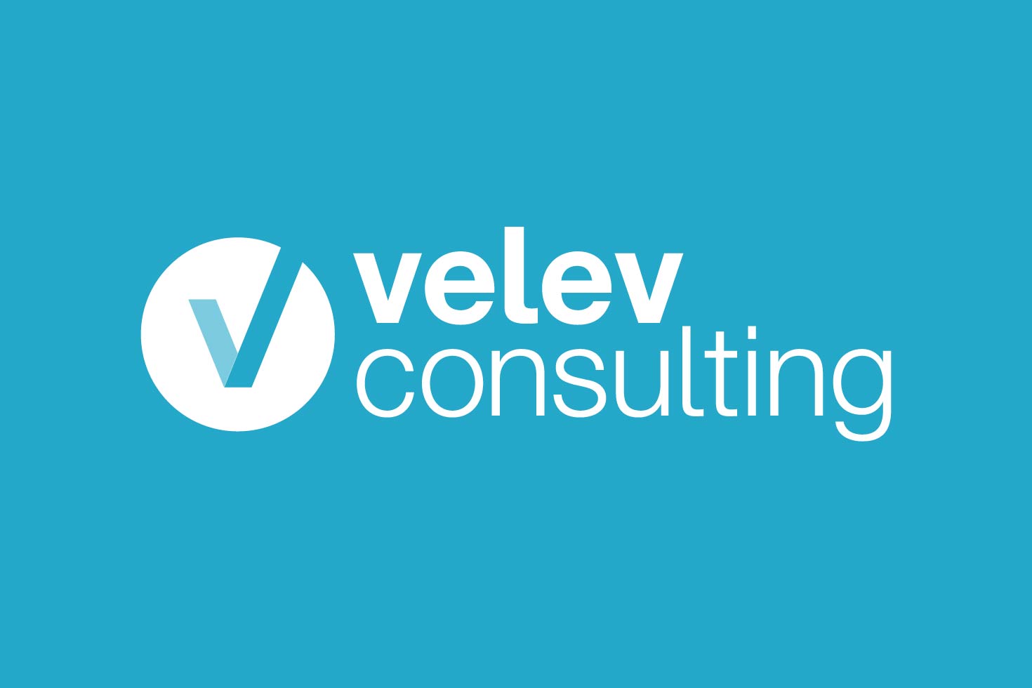 velev consulting
