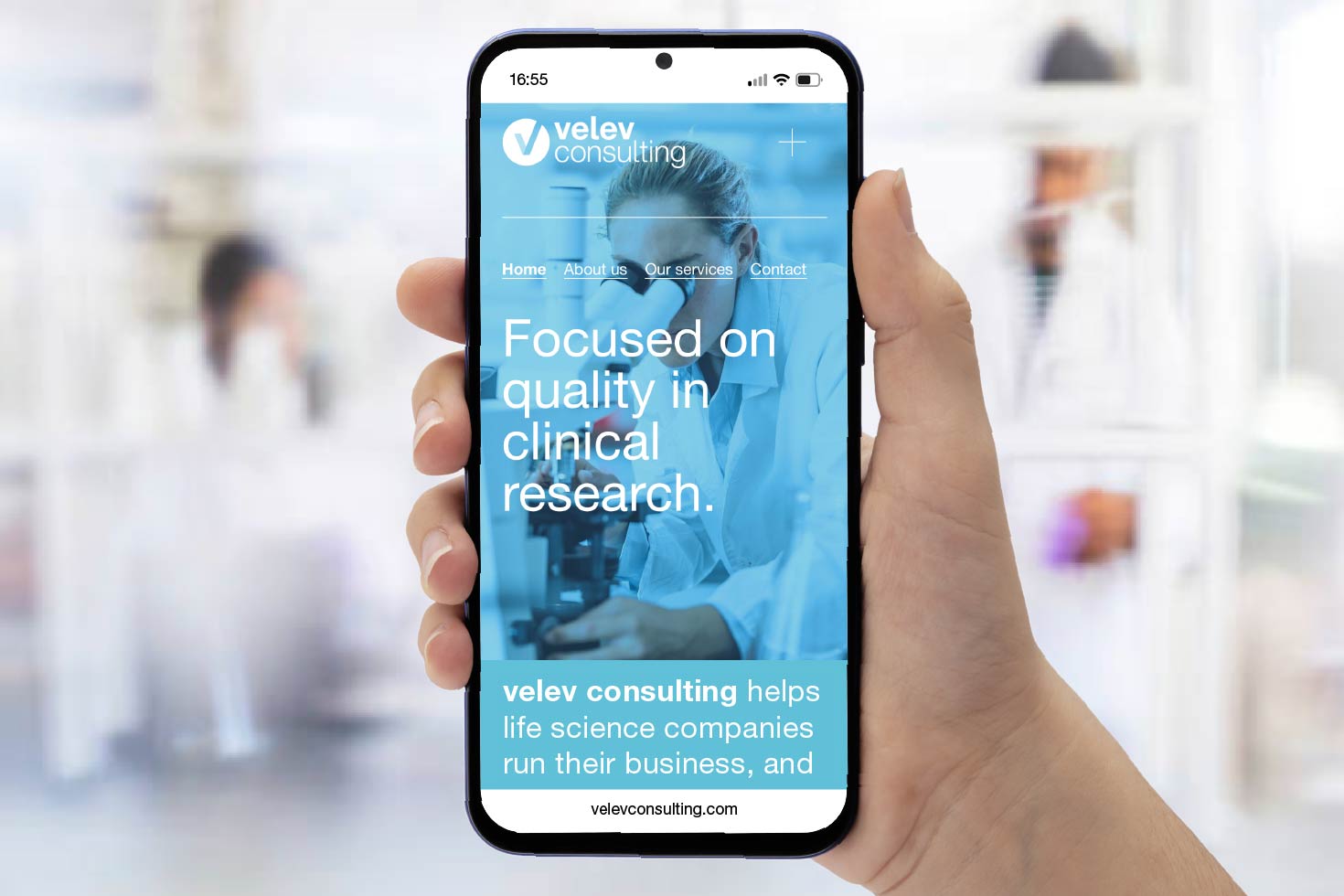 velev consulting