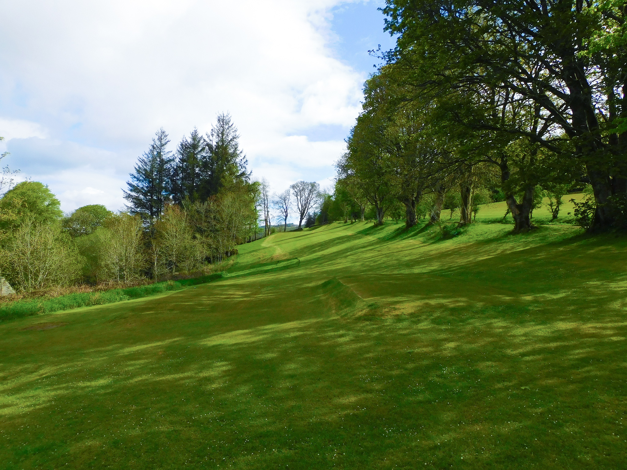 News & Results | Lochgilphead Golf Course