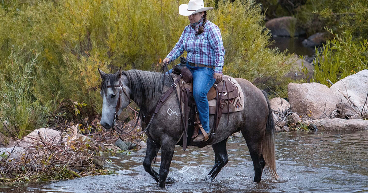 Offspring | Diamond Land & Livestock Quarter Horses
