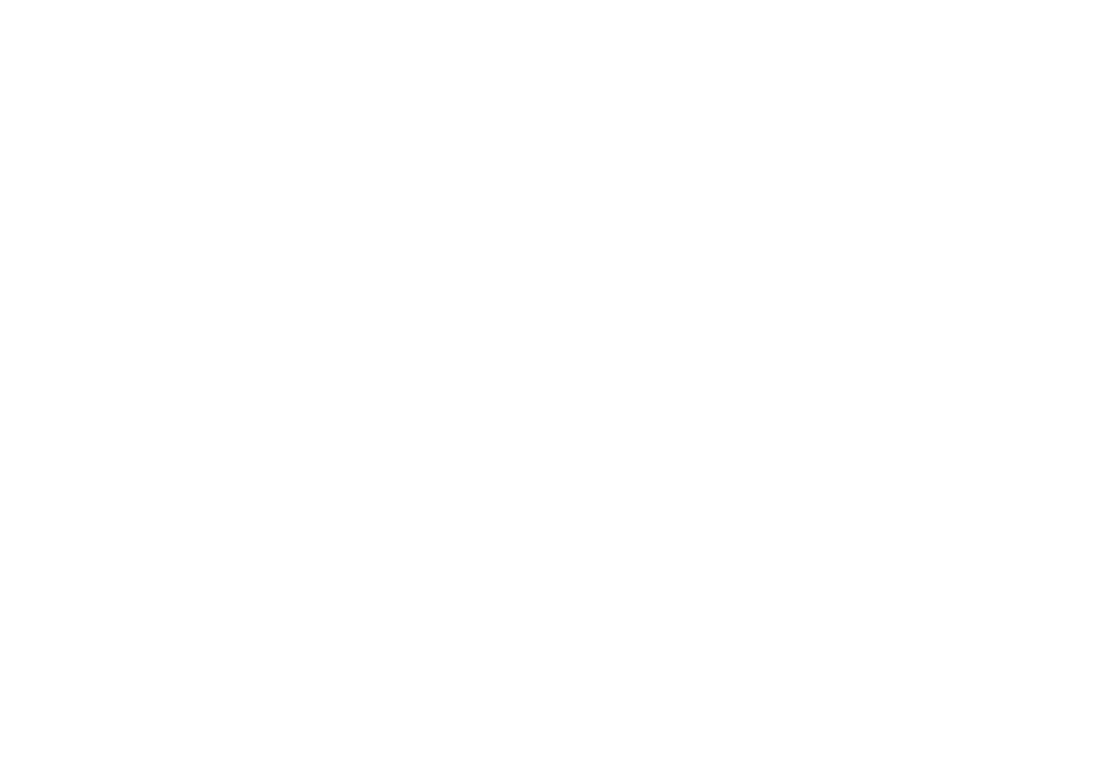 Falcon FX - Helping You Succeed Through Forex Trading