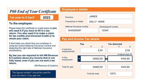 Replacement Payslips | P60 Document | Free Samples