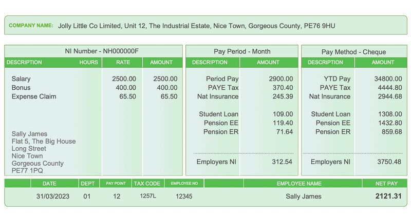 How to Create Online Payslips