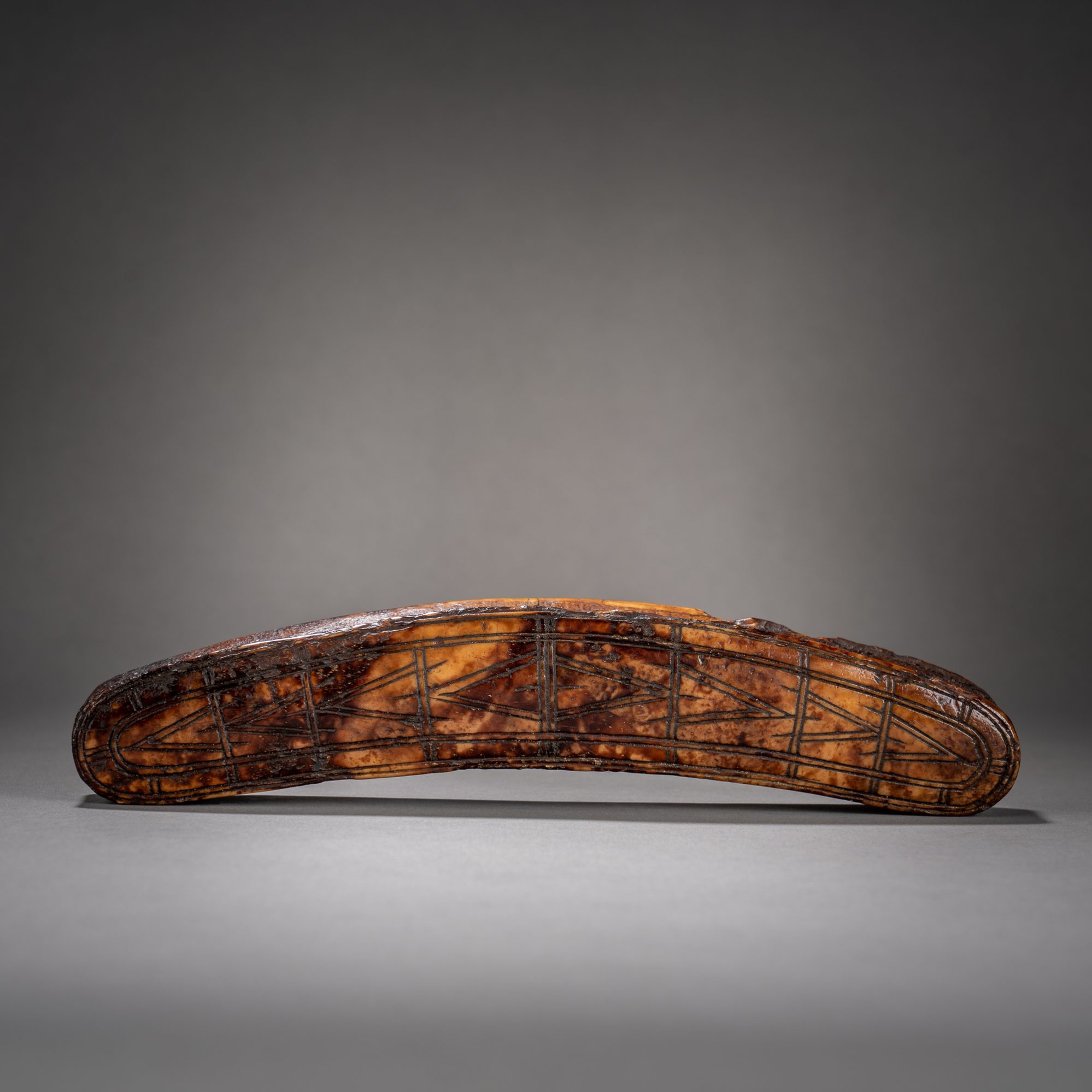 Jacaranda - Punuk Trace Guide