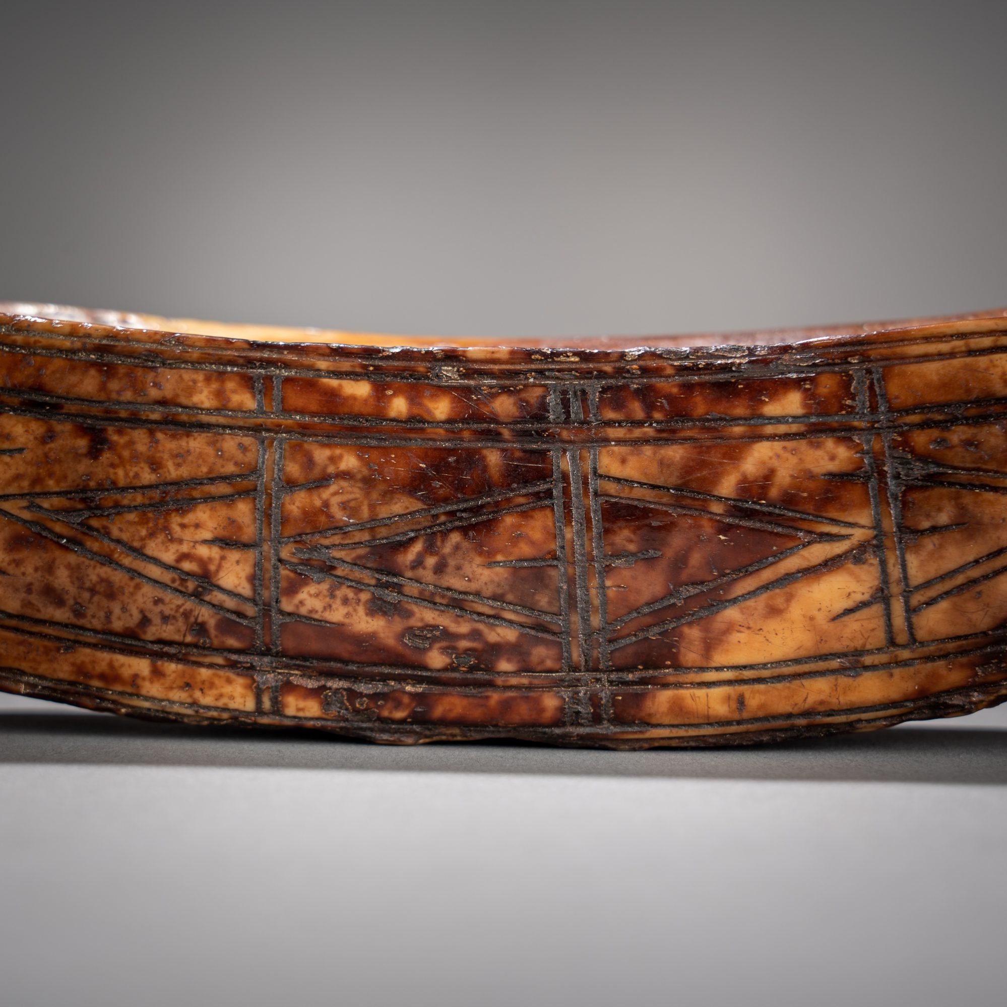 Jacaranda - Punuk Trace Guide