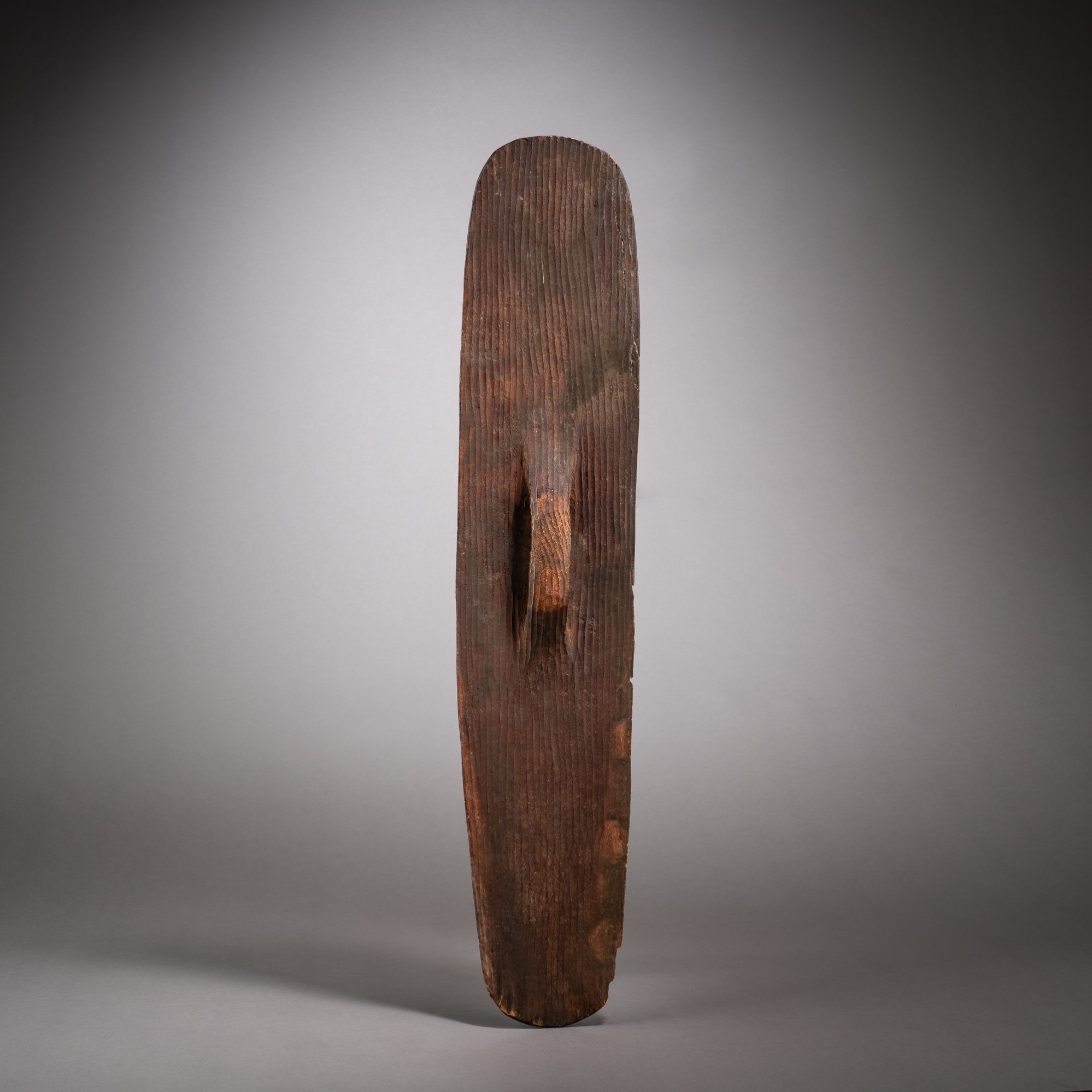 Jacaranda - Australian Aboriginal Shield