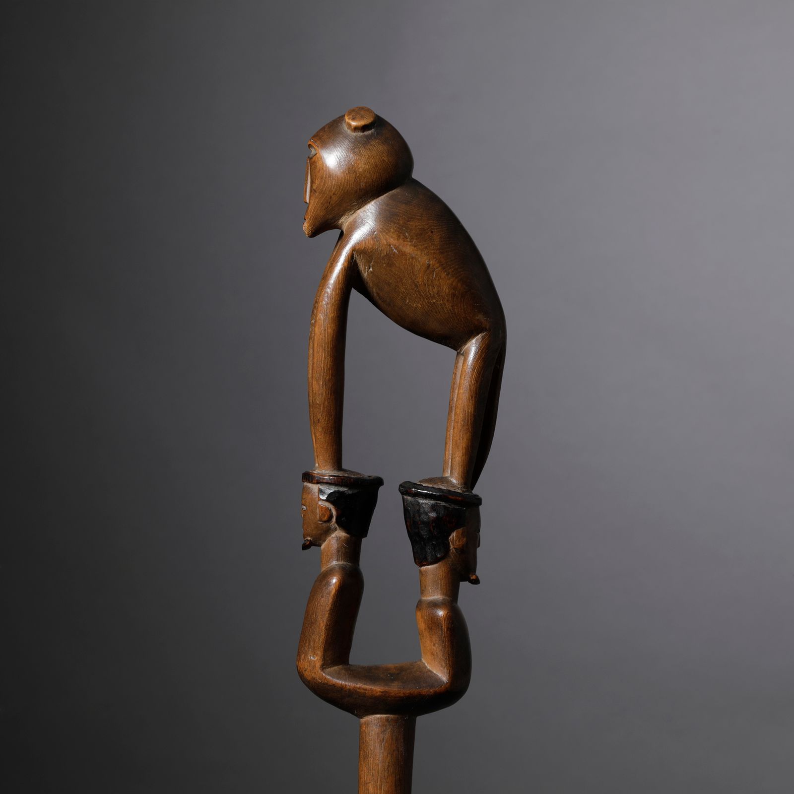 Jacaranda - Baboon master stick