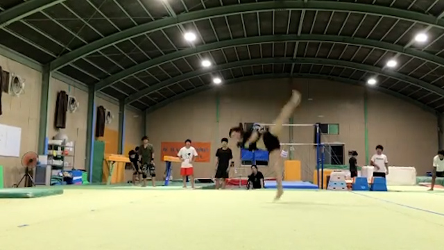 Dragonfly Corkscrew Swipeknife