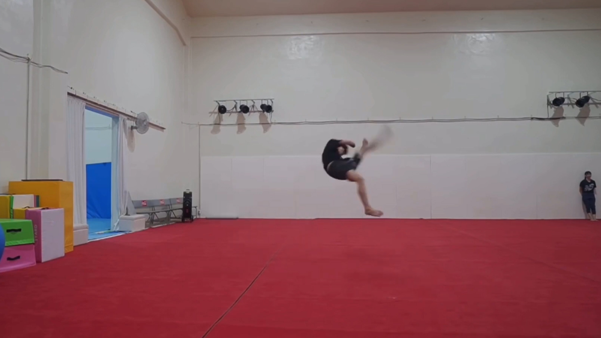 Butterfly Twist Shurikane