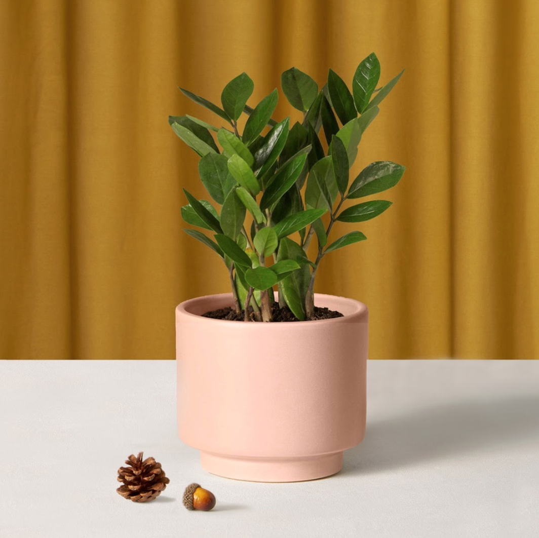 The Sill (Using 15 Tools) - Explore their stack