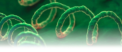 Syphilis information | Arlington Scientific