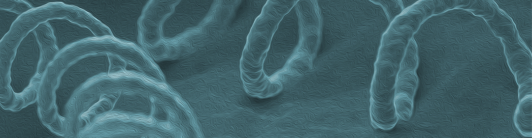 Syphilis information | Arlington Scientific