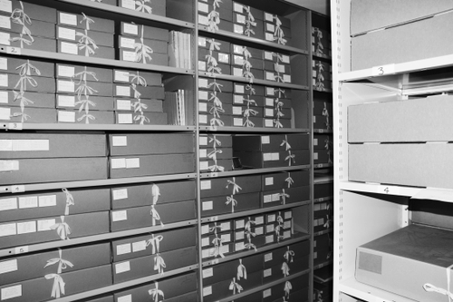 George Padmore Institute - Archive