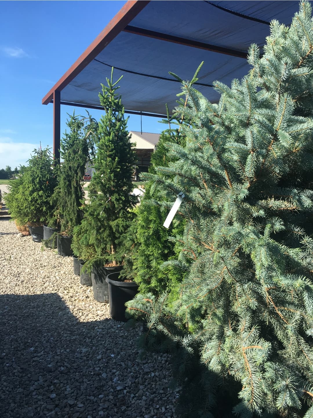Our Garden Center | Grass Roots | Marshfield MO