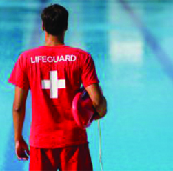 David's Swim School | Group and Private Swimming Lessons