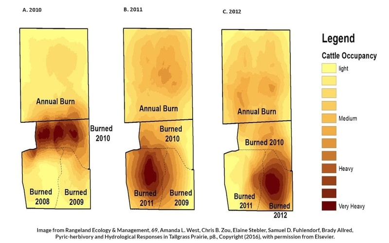 Patch-Burn Grazing | The Prairie Project