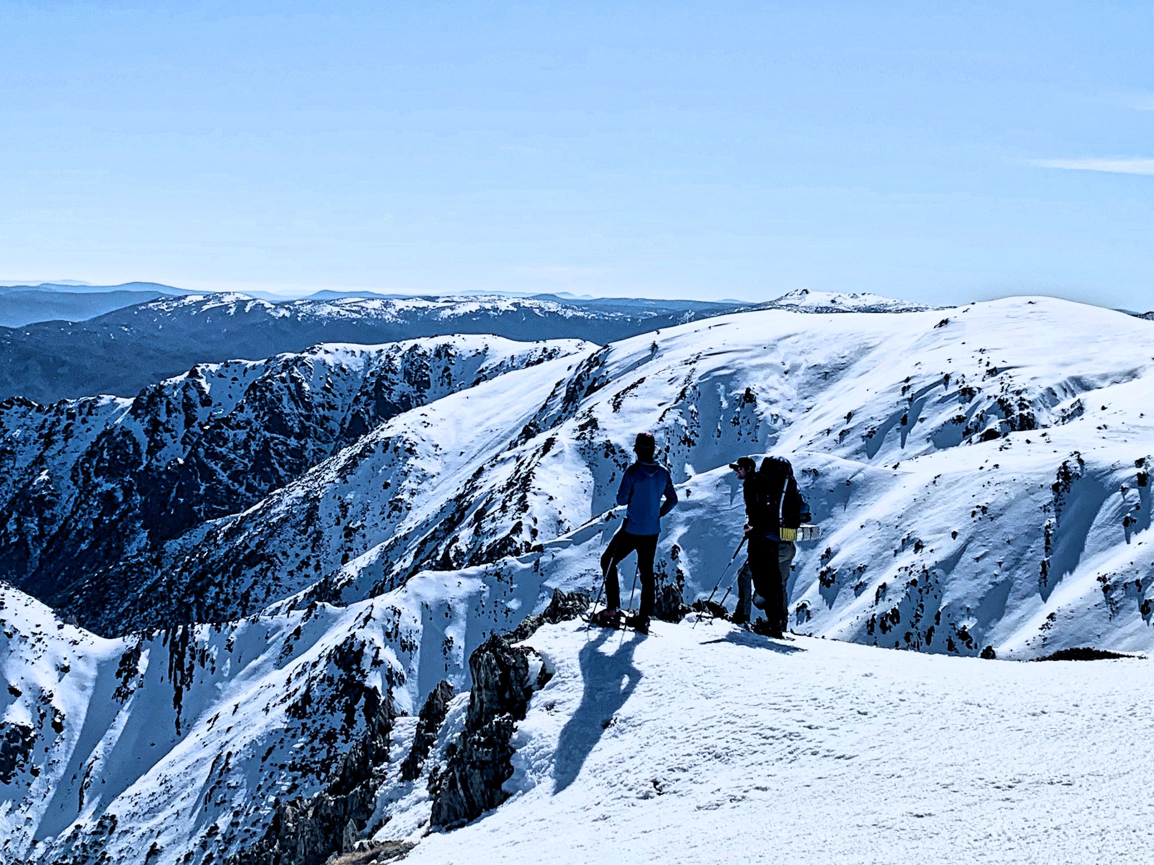 5 Star Training & Consulting