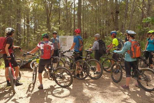 5 Star Training & Consulting