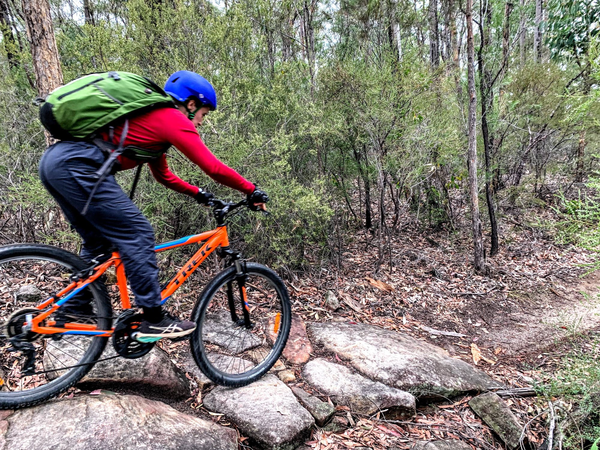 5 Star Training & Consulting