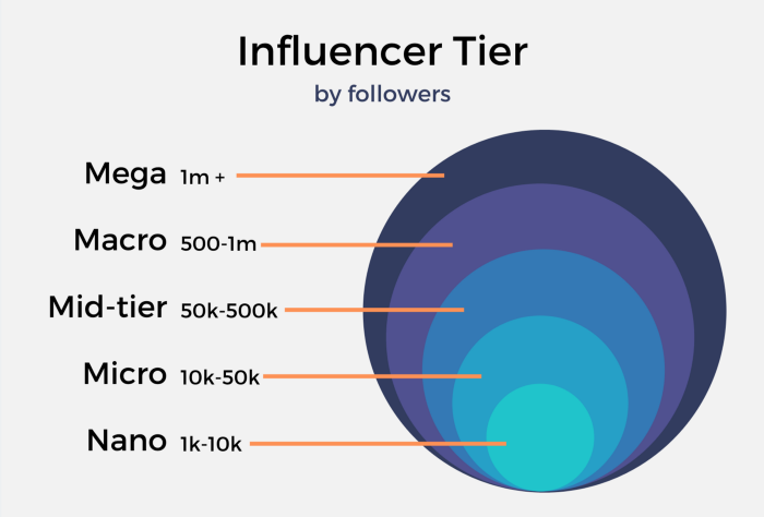 Influencer Tiers: 5 x Influencer Marketing Tiers You Need To Know | The ...