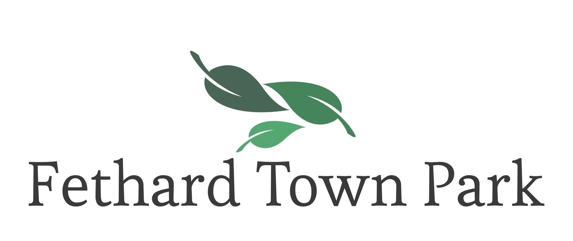 Fethard Town Park - Case Study | Tony Patterson Sportsgrounds