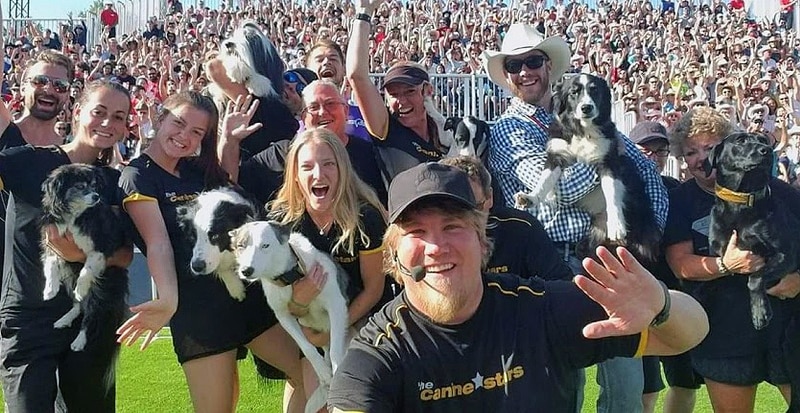 The Canine Stars Stunt Dog Show