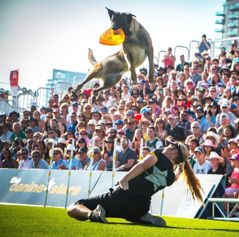 Theme Park and Zoo Attraction