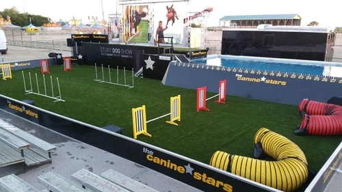 Theme Park and Zoo Attraction