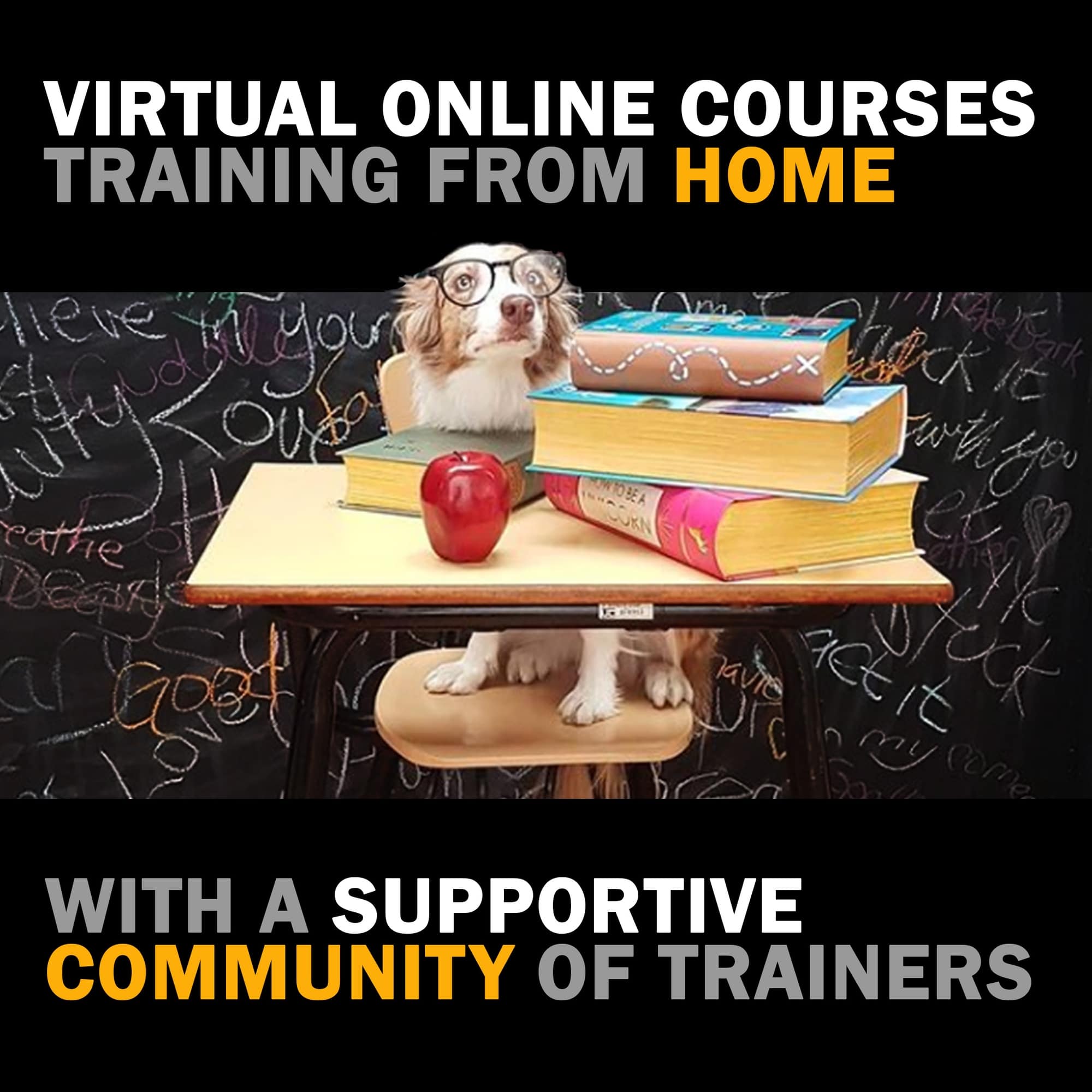 The Canine Stars Stunt Dog Show