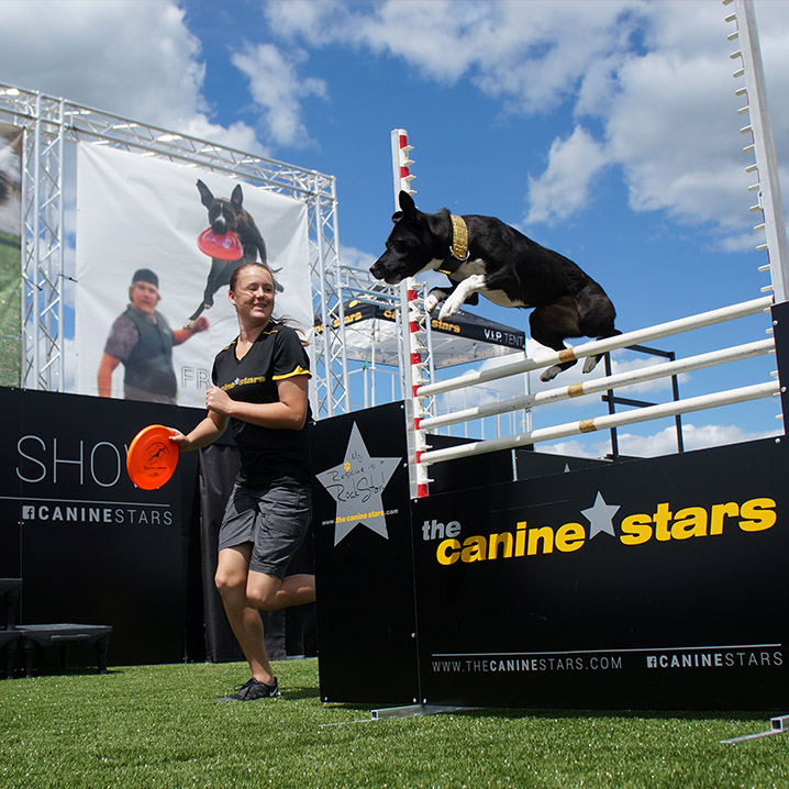 Stunt Dog Show | Entertainment Act by The Canine Stars