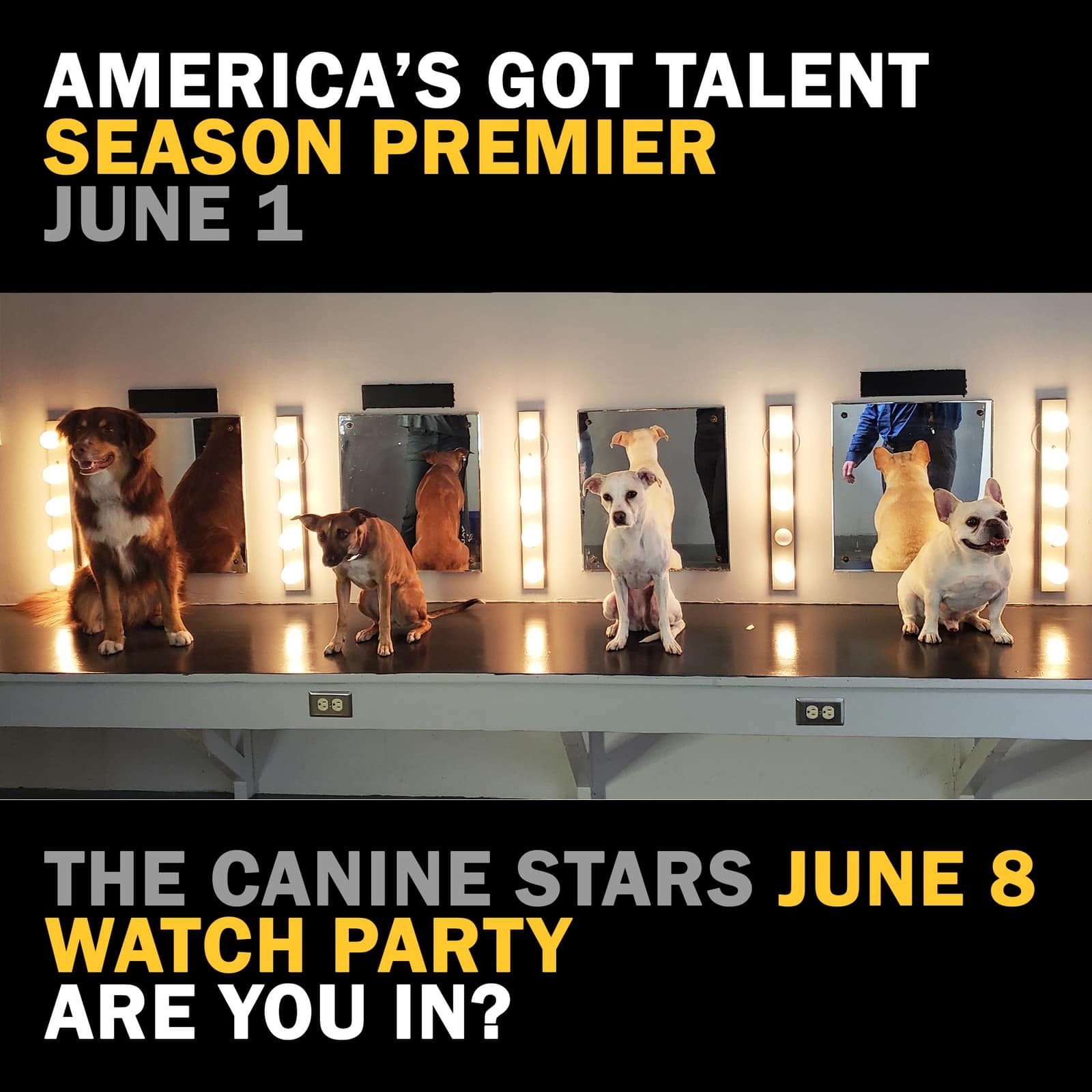 America's Got Talent 2021 featuring The Canine Stars