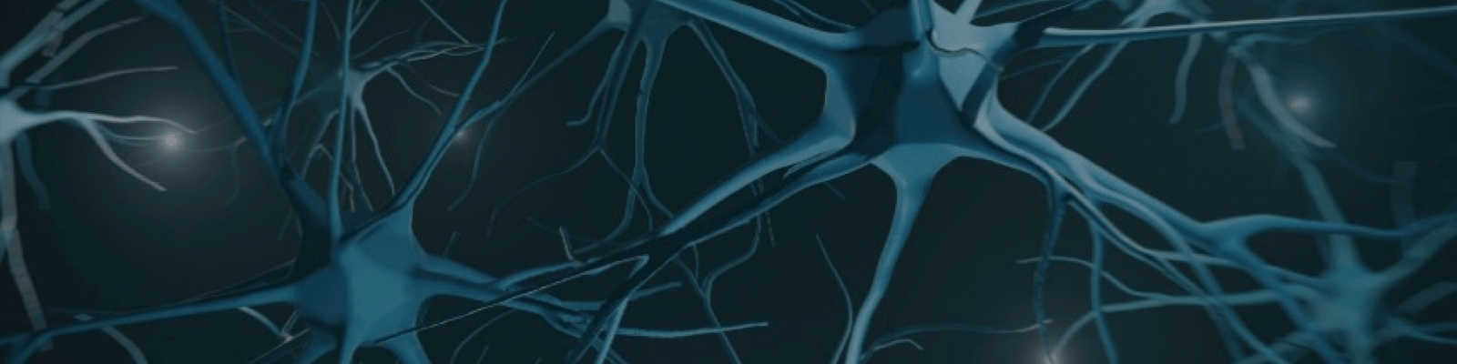 Portfolio - What If Ventures